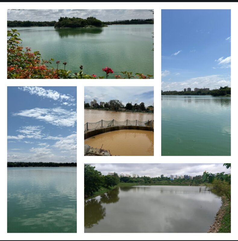 63 Lakes Filled Due to Recent Rainfall in BBMP Limits: Preeti Gehlot ...